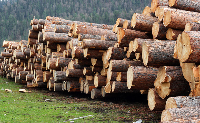 Canfor – SafeStart